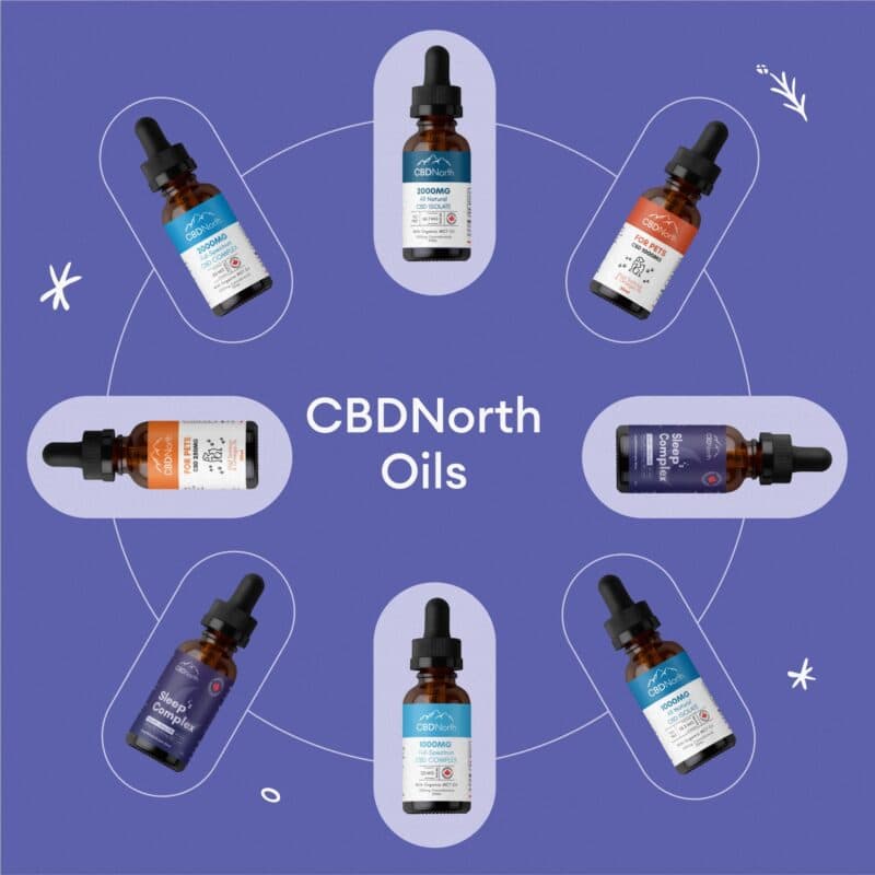 CBD Education: Know About CBD Benefits, Uses & More - CBDNorth