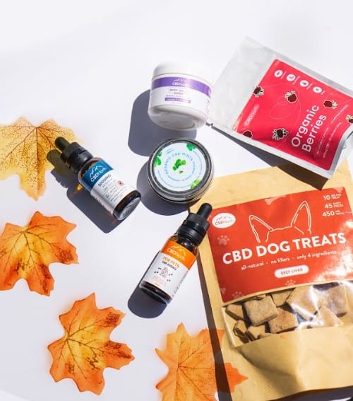 CBD Gummies Without THC: Complete Canadian Guide 2026
